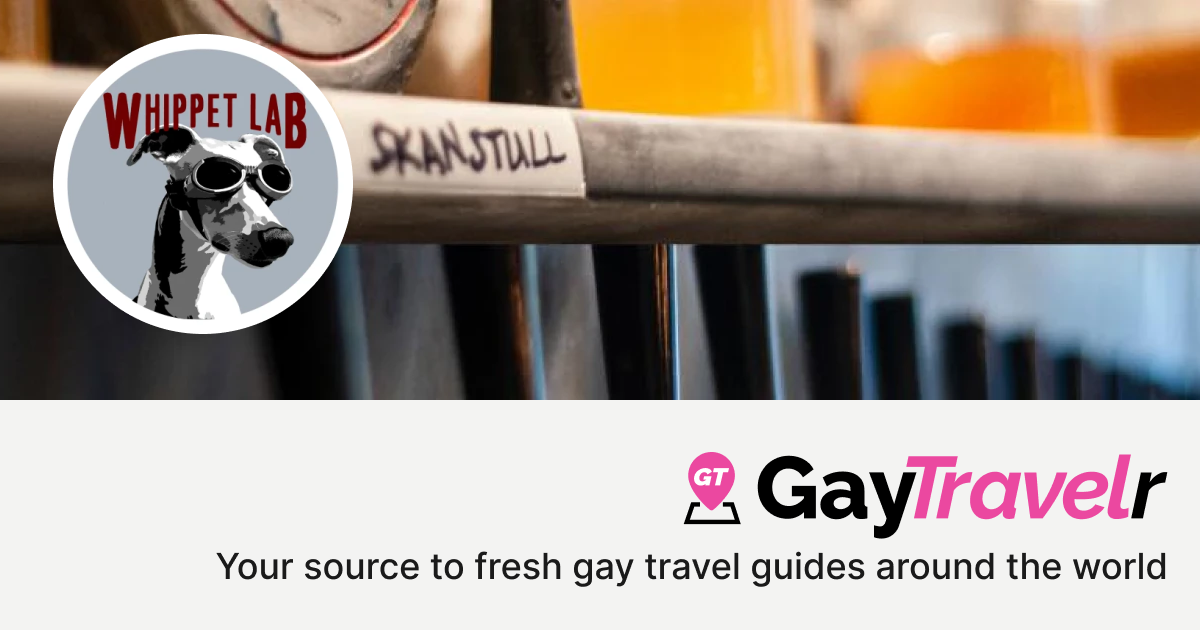 Whippet Lab & Social Justice Club in Stockholm, Sweden - GayTravelr